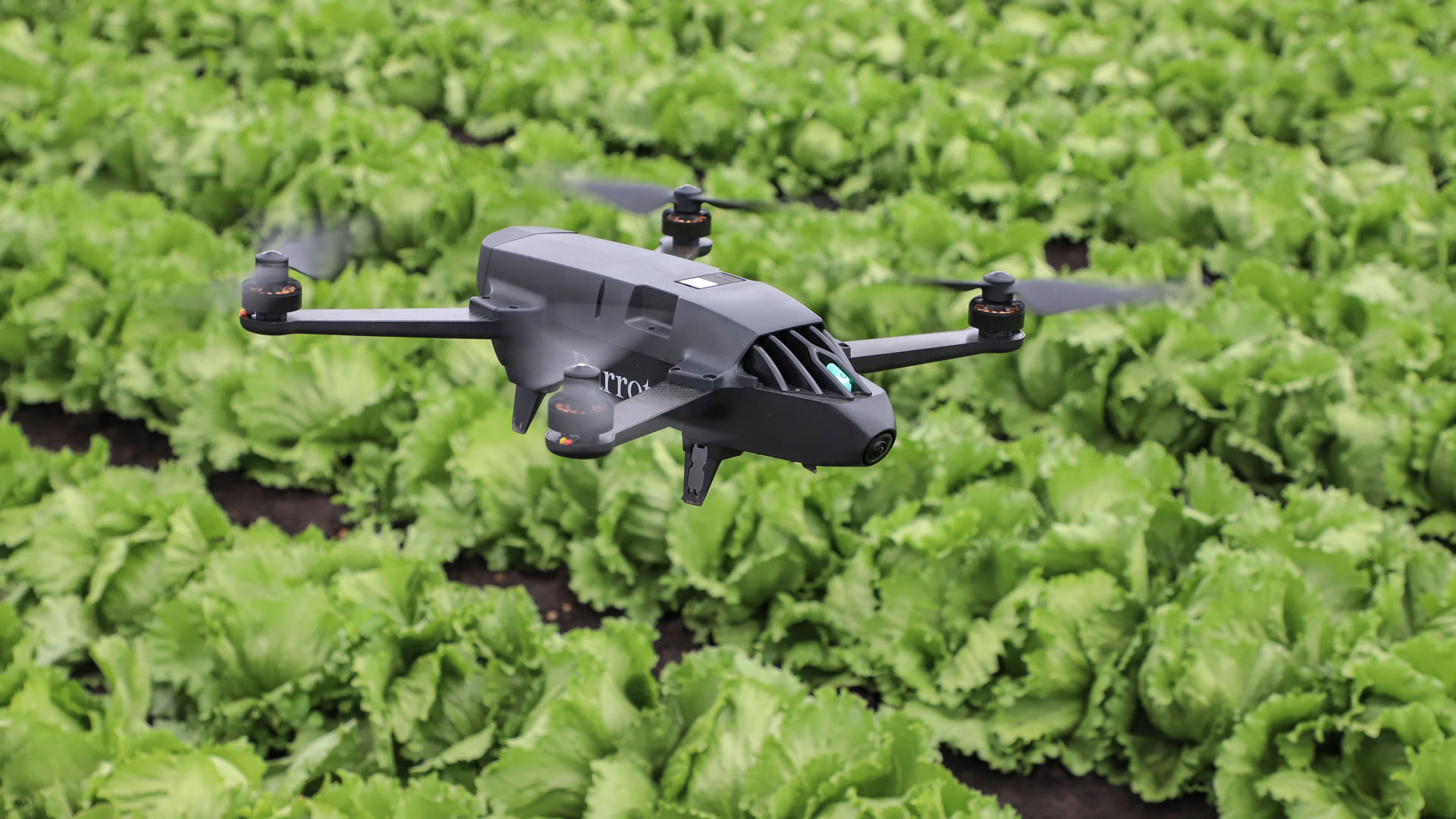 PARROT BLUEGRASS FIELDS | AV3 AEROVISUAL