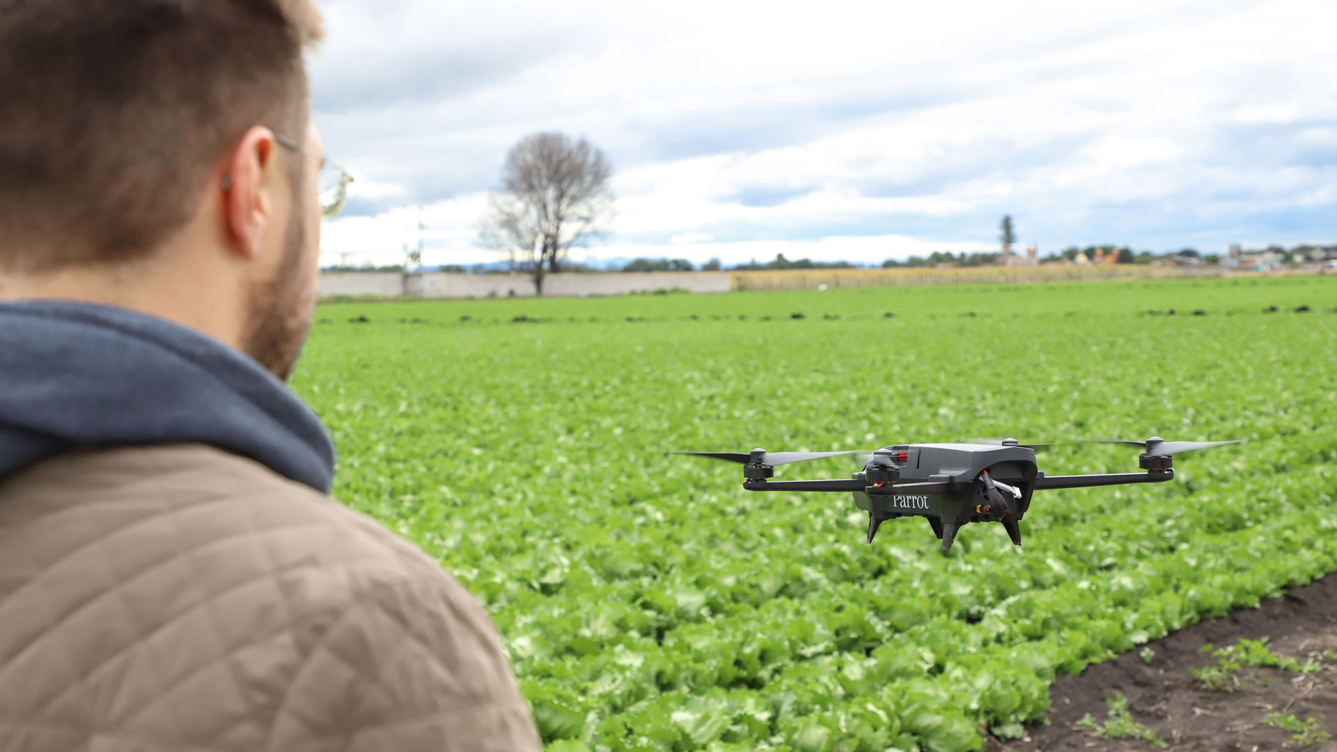 PARROT BLUEGRASS FIELDS | AV3 AEROVISUAL