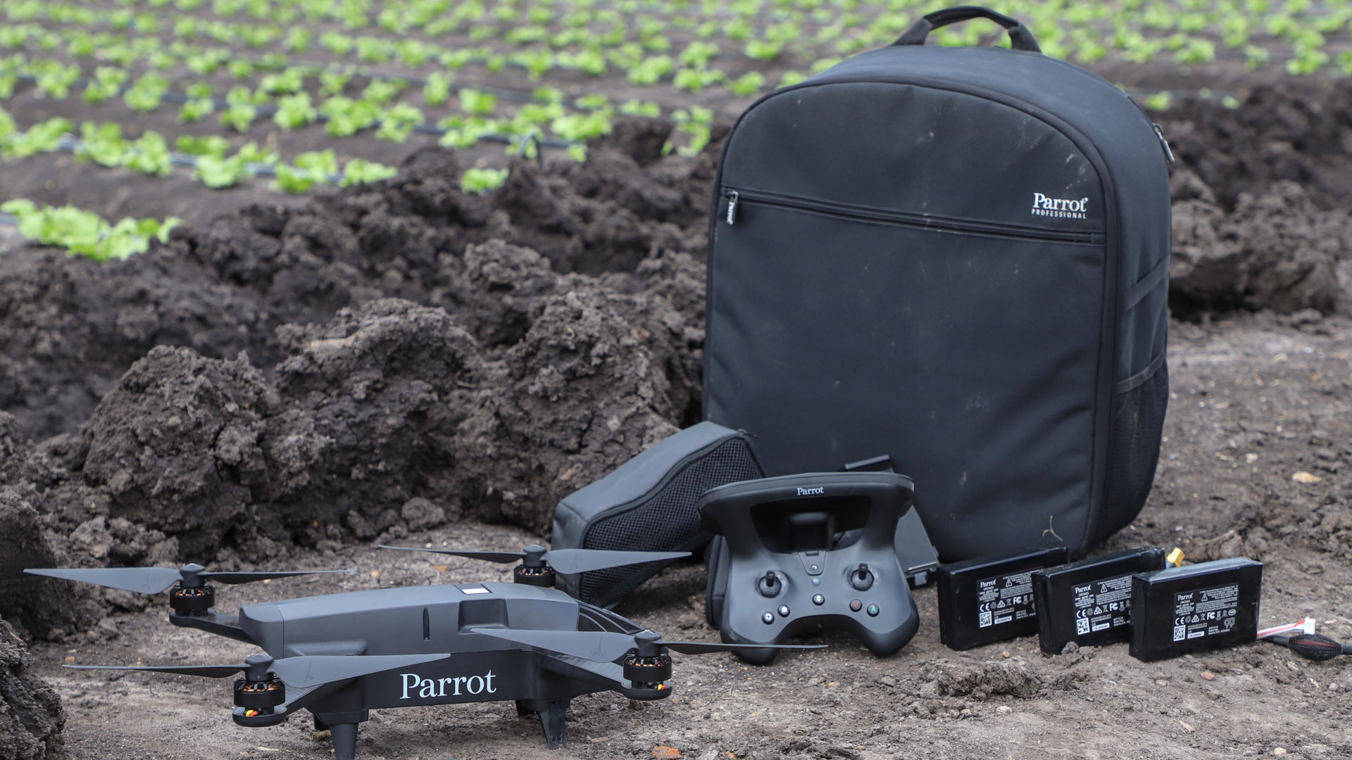 PARROT BLUEGRASS FIELDS | AV3 AEROVISUAL